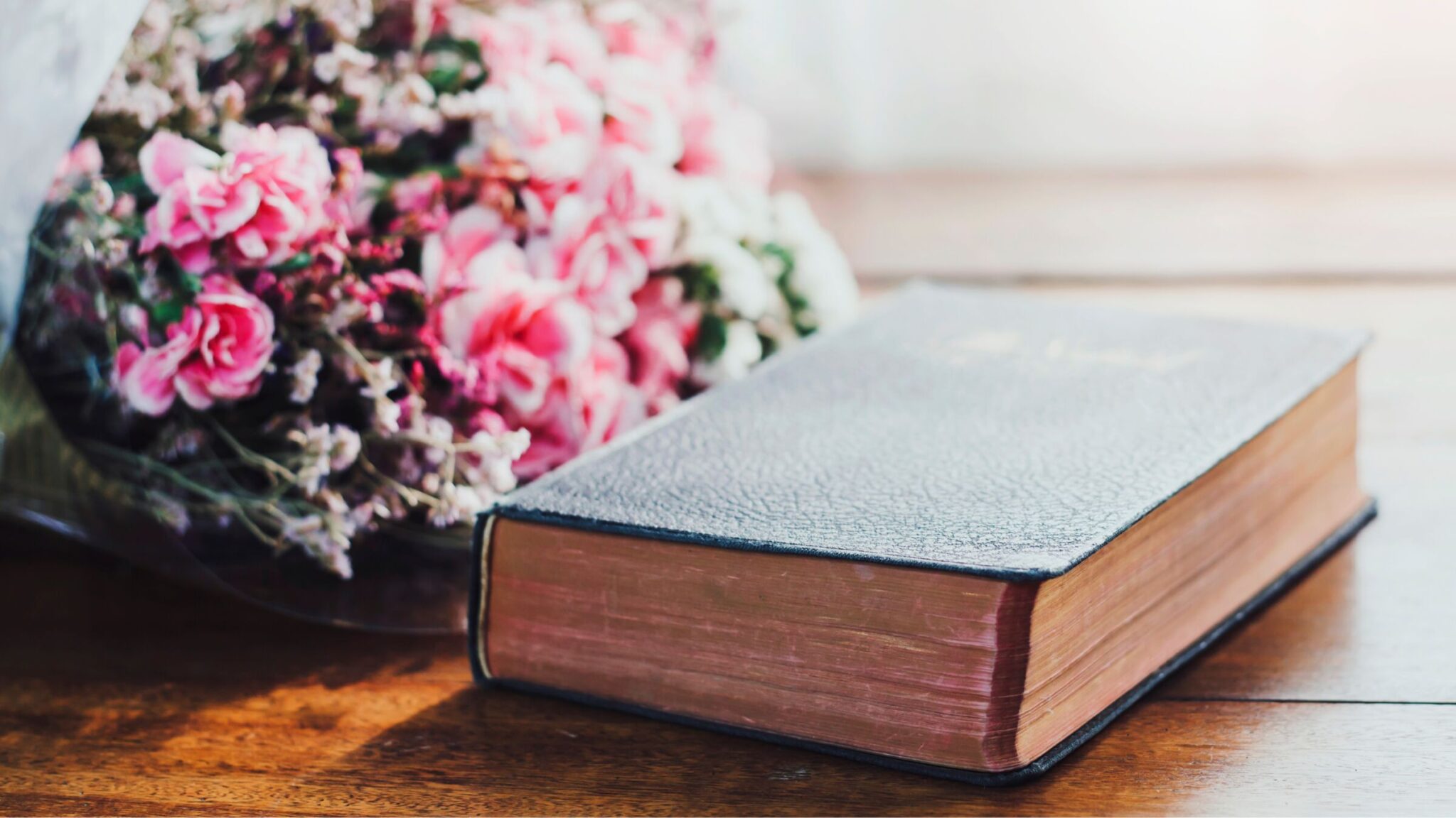 Women’s Bible Studies - Fellowship Bible Church